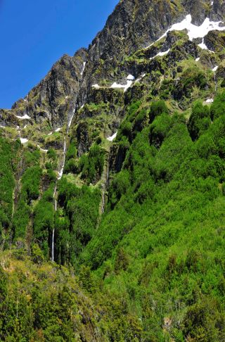 WCS Chile > Parque Karukinka