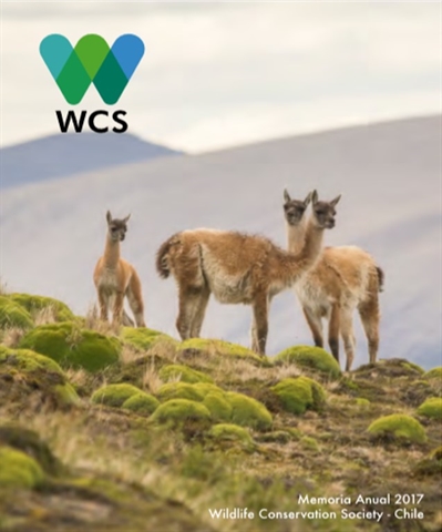 Memoria Anual WCS Chile 2017 > WCS Chile