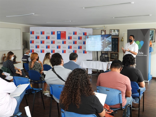Punta Patache: un llamado a proteger ecosistemas únicos en el norte ...