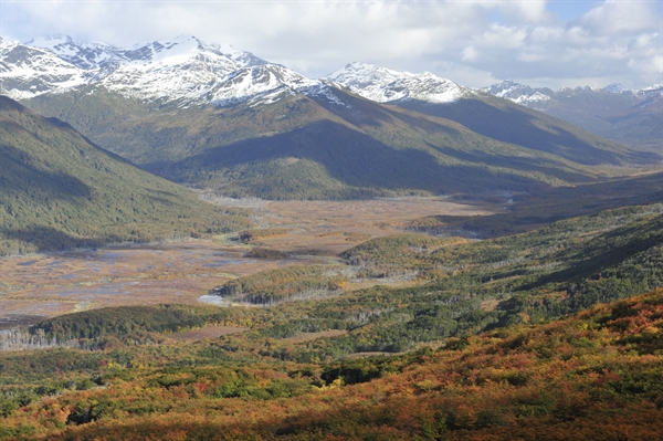Turberas de la Patagonia, la urgencia de trabajar en su conservación ...