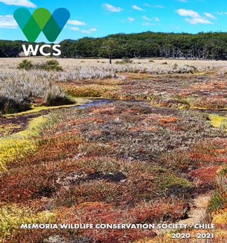 Memoria WCS Chile 2020-2021 > WCS Chile